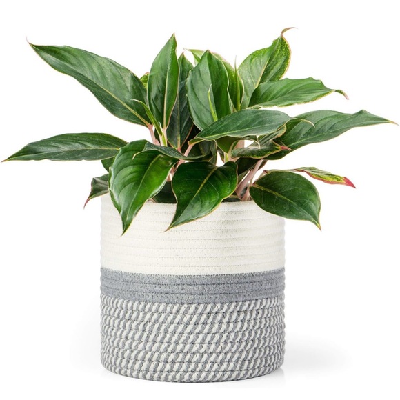 Accents | 11 Cotton Rope Planter Grey And White | Poshmark